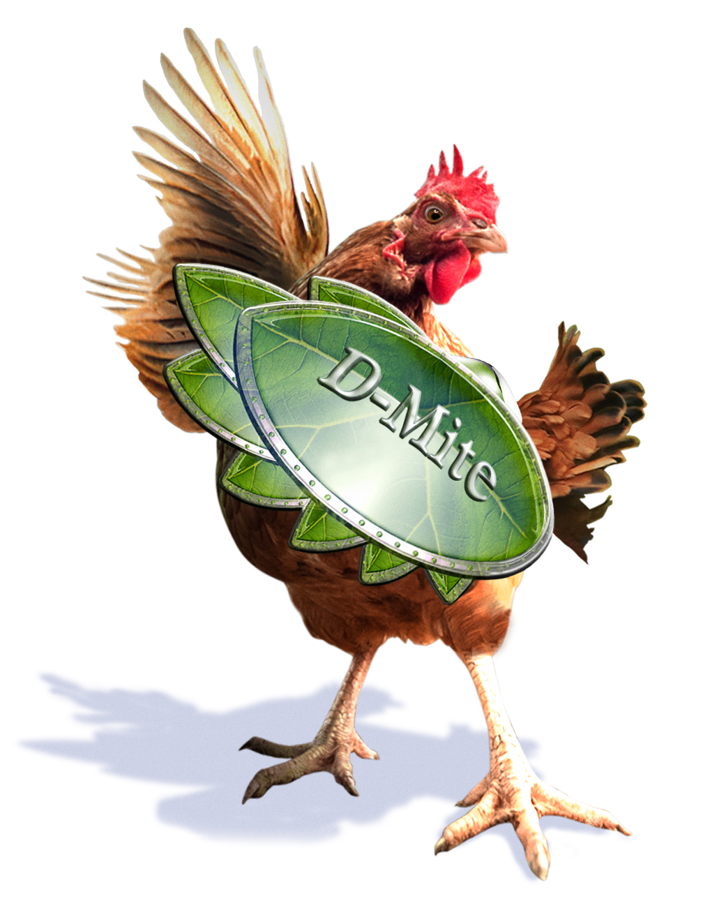 Provimi - Products - Poultry